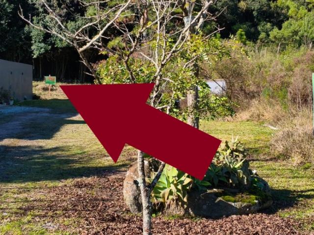Terreno Venda Caçapava do Sul RS São Jerônimo