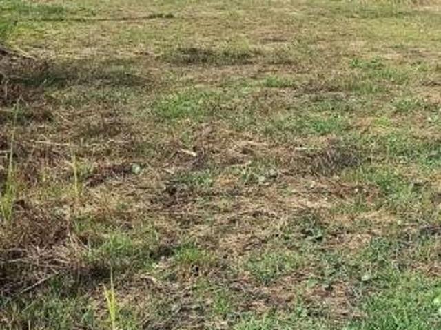 Terreno Venda Caraguatatuba SP Balneário dos Golfinhos
