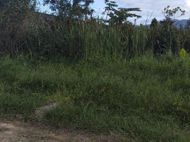 Terreno Venda Caraguatatuba SP Balneário dos Golfinhos