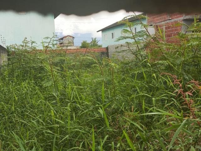 Terreno Venda Caraguatatuba SP Balneário dos Golfinhos