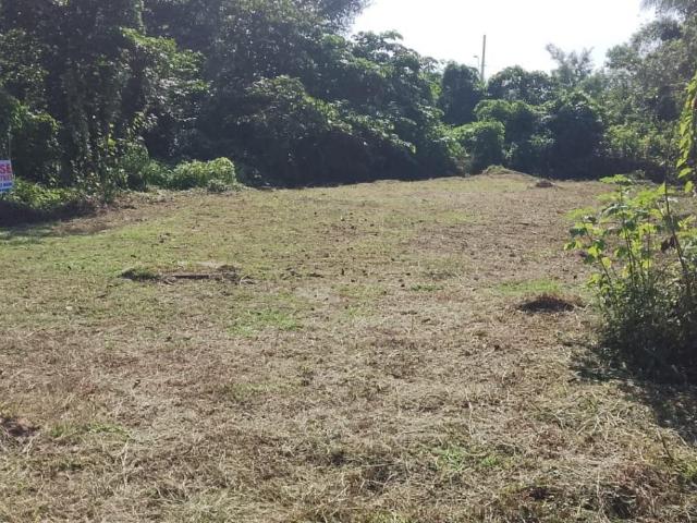 Terreno Venda Caraguatatuba SP Balneário dos Golfinhos