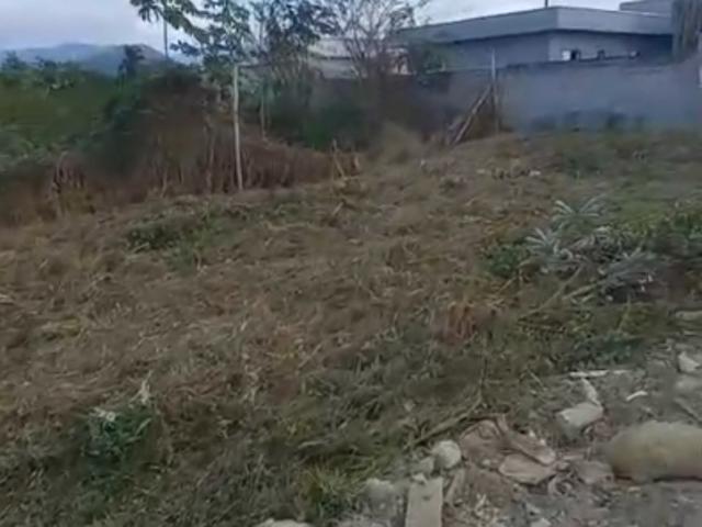 Terreno Venda Caraguatatuba SP Golfinhos