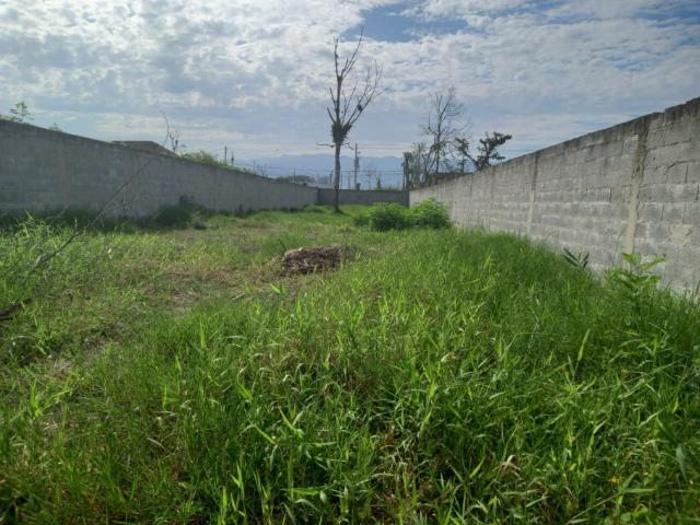 Terreno Venda Caraguatatuba SP Morro do Algodão