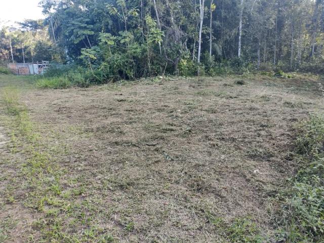 Terreno Venda Caraguatatuba SP Massaguaçú