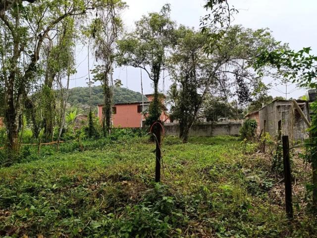 Terreno Venda Caraguatatuba SP Massaguaçu