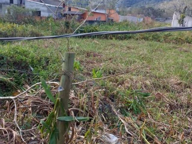 Terreno Venda Caraguatatuba SP Massaguaçu