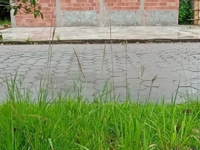Terreno Venda Caraguatatuba SP Praia das Palmeiras