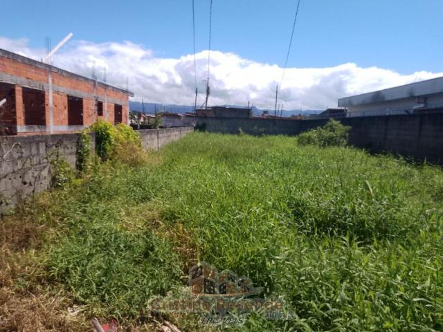 Terreno Venda Caraguatatuba SP Tarumãs