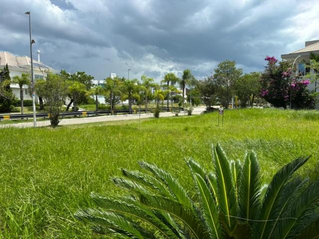 Terreno Venda Florianópolis SC Jurerê Internacional