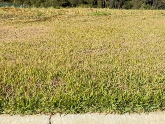 Terreno Venda Jundiaí SP Ivoturucaia