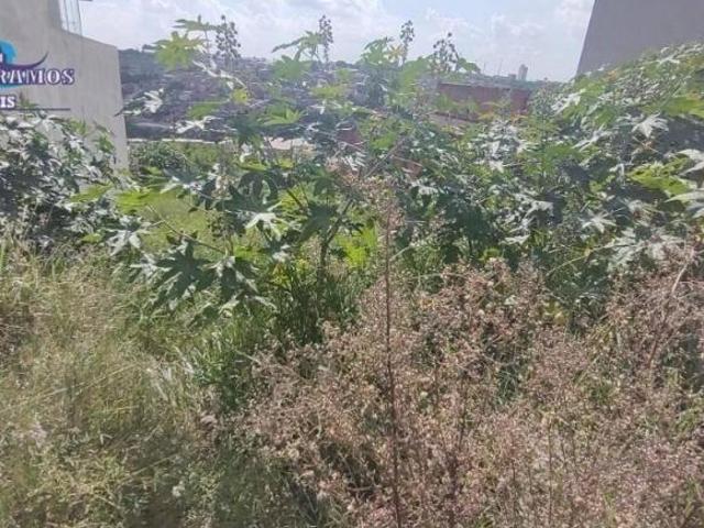 TERRENO VENDA JARDIM SÃO JUDAS TADEU CAMPINAS SP