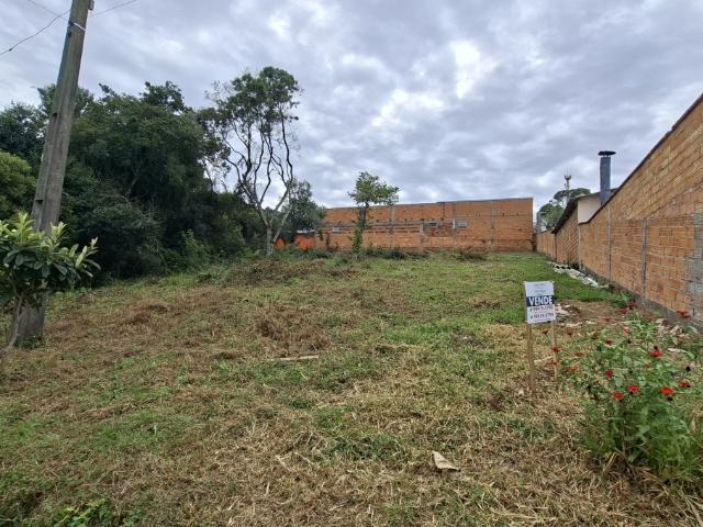 Terreno Venda Lages SC Vila Maria