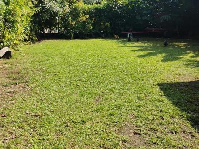 Terreno Venda São Sebastião SP Camburi