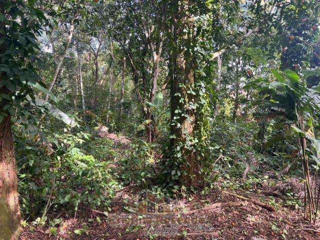 Terreno Venda São Sebastião SP Toque Toque Pequeno