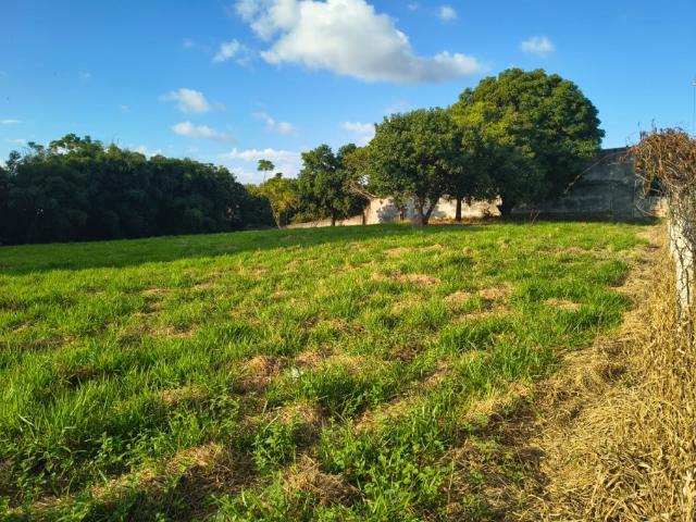 Terreno Venda Taubaté SP Estiva