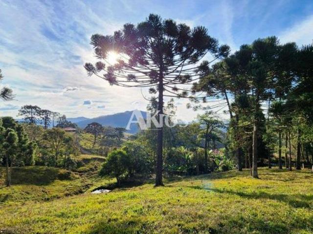 Terreno / Venda