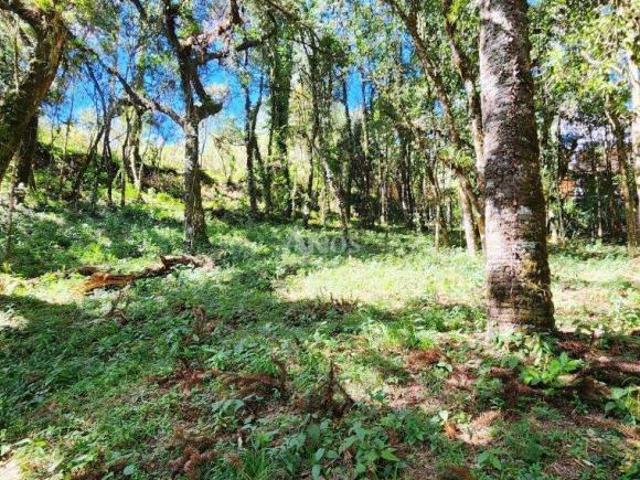 Terreno / Venda