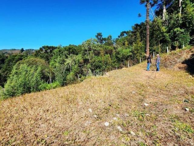 Terreno / Venda
