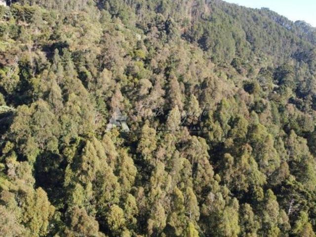 Terreno / Venda
