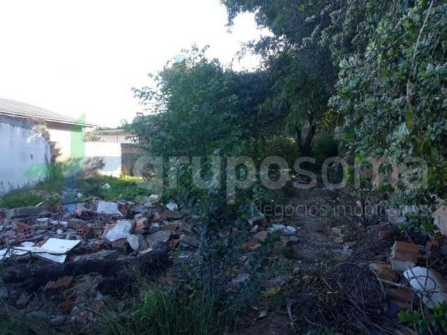 TERRENO VERA CRUZ