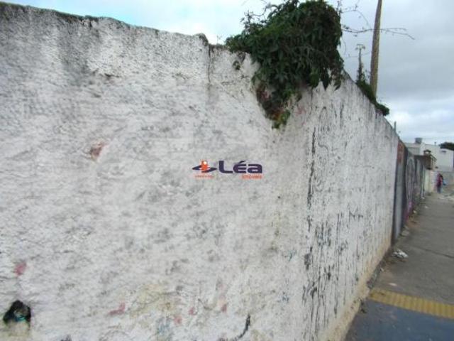 Terreno, Vila Amorim, Suzano, SP