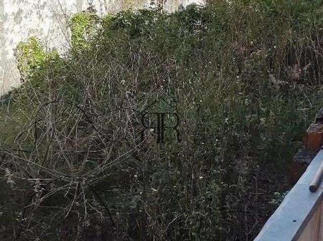 Terreno, Vila Anglo Brasileira, São Paulo, SP