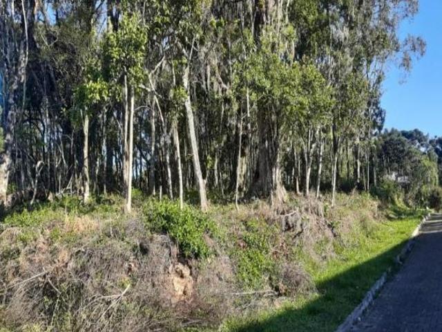 Terreno, Vila Germânia, Nova Petrópolis, RS