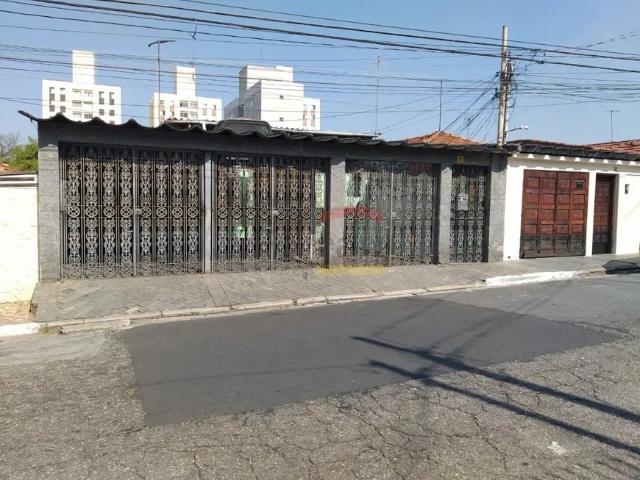 Terreno vila gustavo 500,00 m2