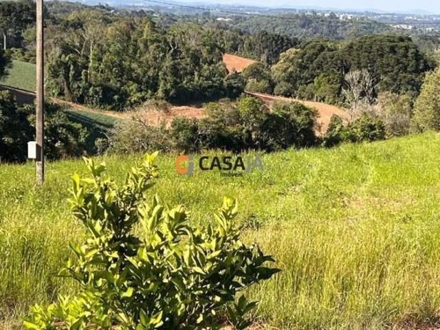 Terreno, Vila David Antônio, Campo Largo, PR