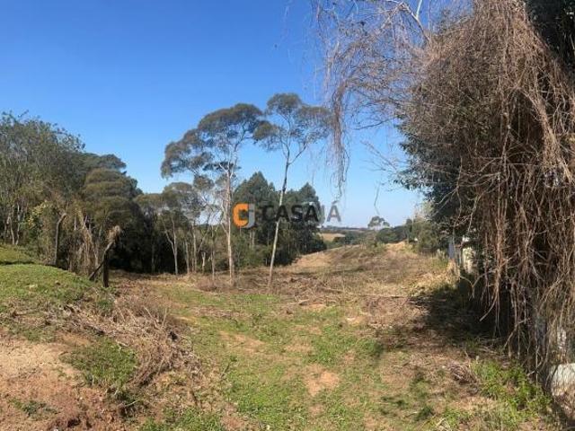 Terreno, Vila Delurdes, Campo Largo, PR