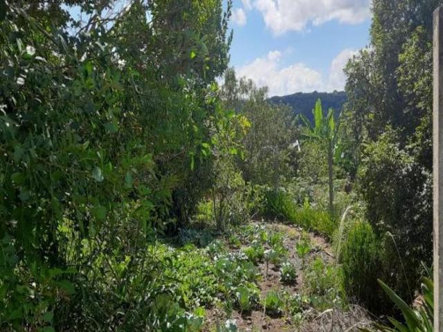 Terreno, Vila Olinda, Nova Petrópolis, RS