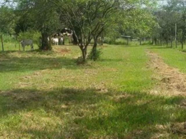 Terreno, Vila Mota, Catanduva, SP