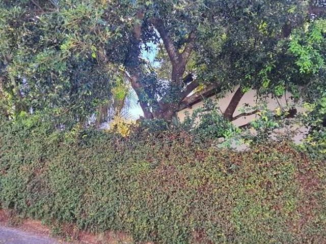Terreno, Vila Monteiro, Itapetininga, SP