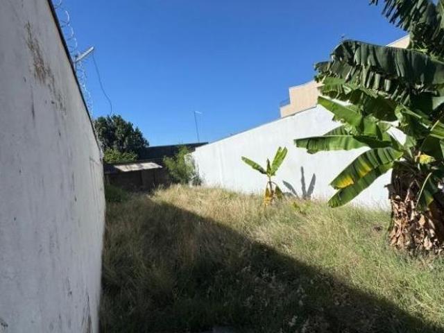 Terreno, Vila Martins, Rio Claro, SP