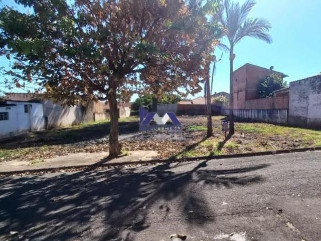 Terreno, Vila Santo Antônio, Catanduva, SP