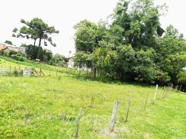 Terreno Vila Seca Caxias do Sul