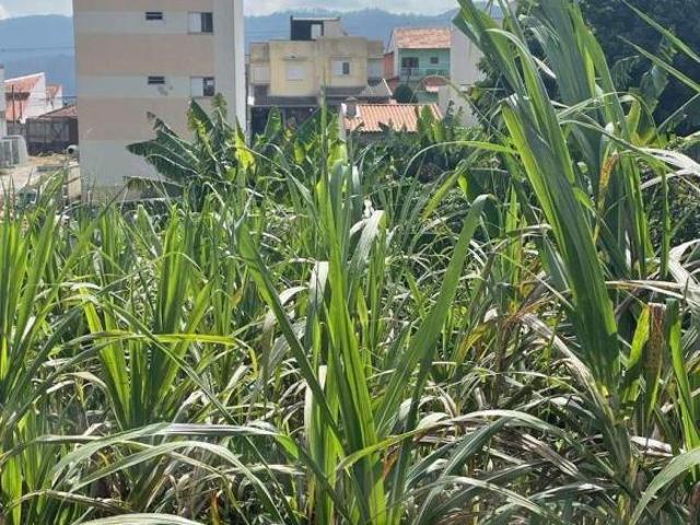 Terreno, Vila Suissa, Mogi das Cruzes R$ 380 mil, Cod: 4434