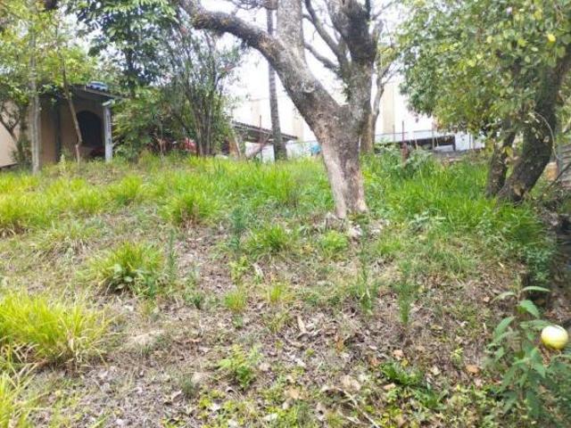 Terreno, Vila Palmares, Santo André, SP