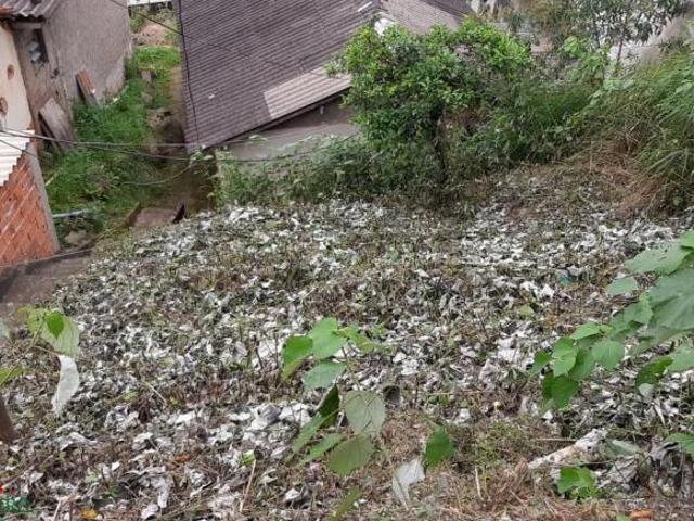 Terreno, Vila Rosa, São Paulo, SP