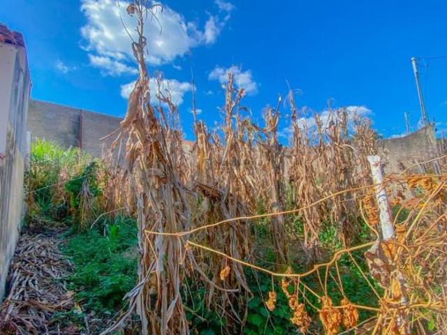 Terreno, Vila Teixeira, Alfenas, MG
