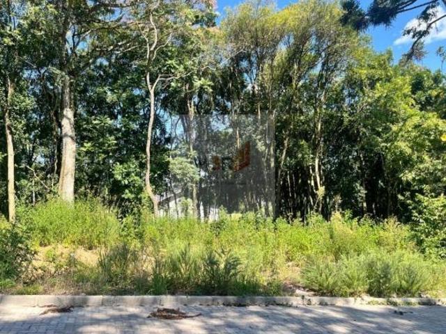 Terreno Vista Panorâmica Nova Petrópolis | Bosque das Araucárias | 366m² Linha Imperial