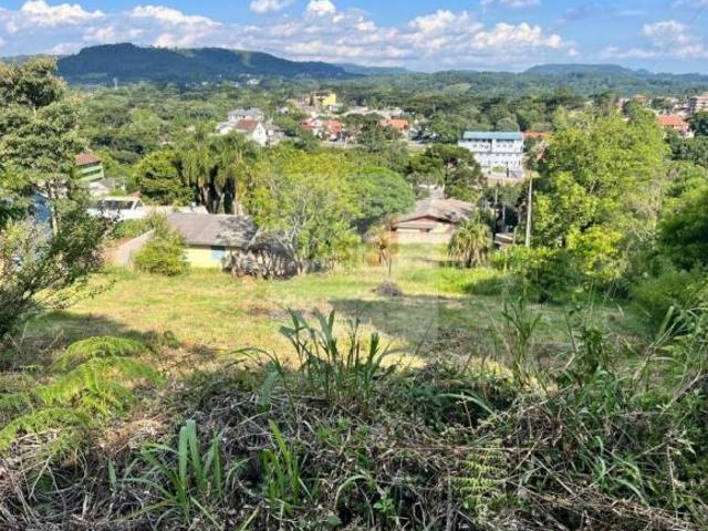 Terreno Vista Panorâmica Pousada da Neve Nova Petrópolis | 1.109m² Área Nobre | Lote Exclusivo Alto