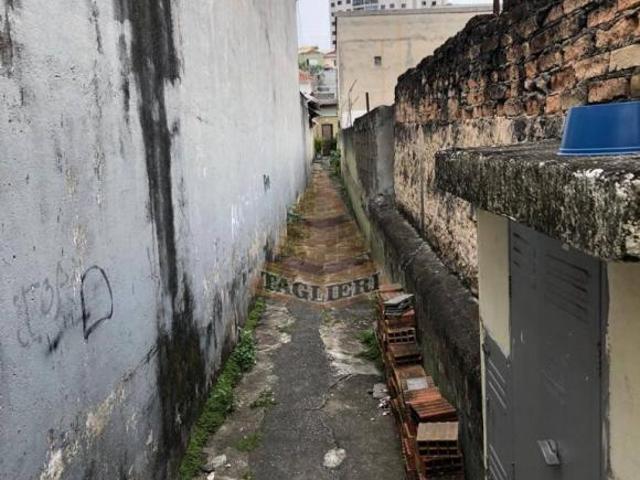TERRENO VL ZELINA