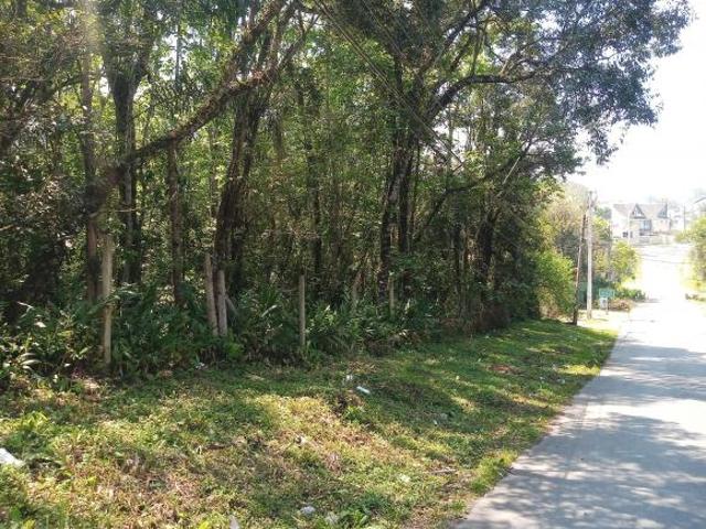 TERRENO ZR2 BAIRRO ABRANCHES 4.147 M²