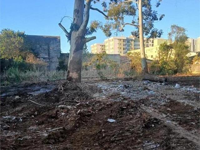 Terreno ZR4.1 no Boa Vista | 3 Lotes 13x60 | Próximo ao Condor | Potencial para Incorporação
