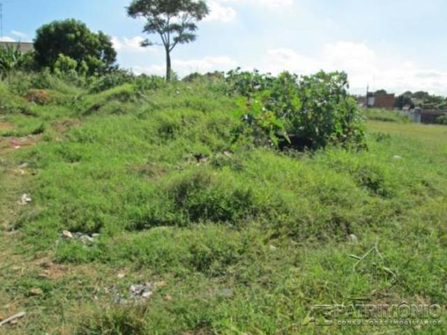 TERRENO,0 Dormitorio s bairro Aparecidinha
