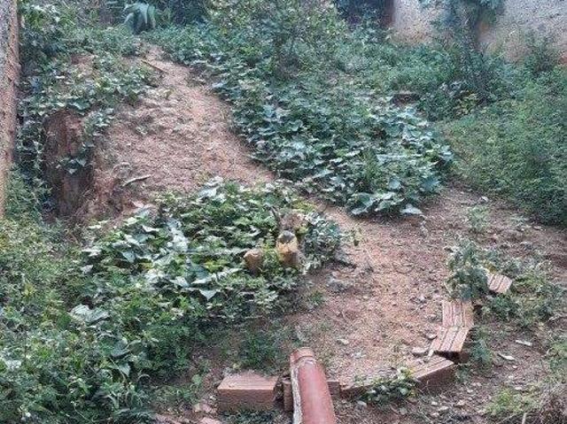 TERRENO,0 Dormitorio s bairro Carolina