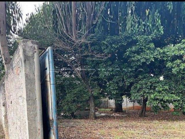 TERRENO,0 Dormitorio s bairro Olímpia