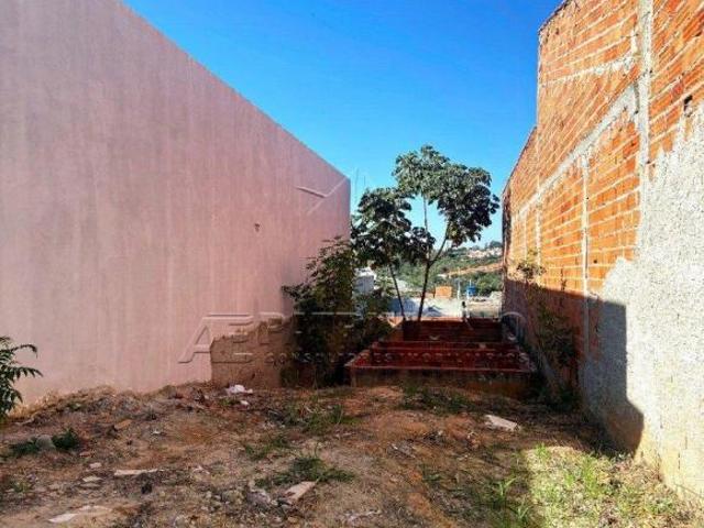 TERRENO,0 Dormitorio s bairro São Bento