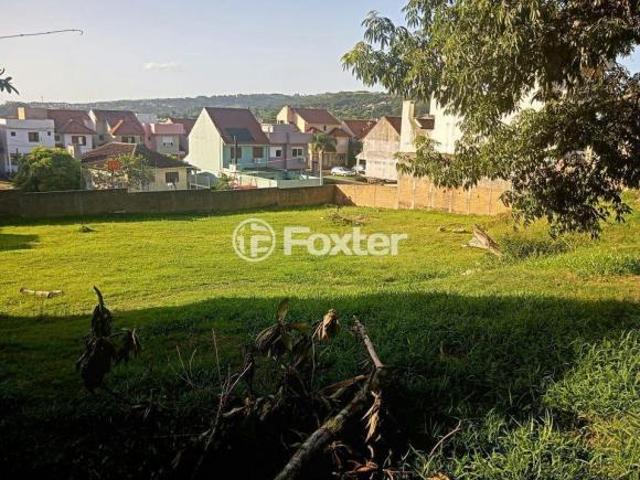 Terreno, 142.6 m², em Campo Novo